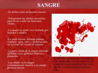 LA SANGRE GENERALIDADES...................... | PPTX