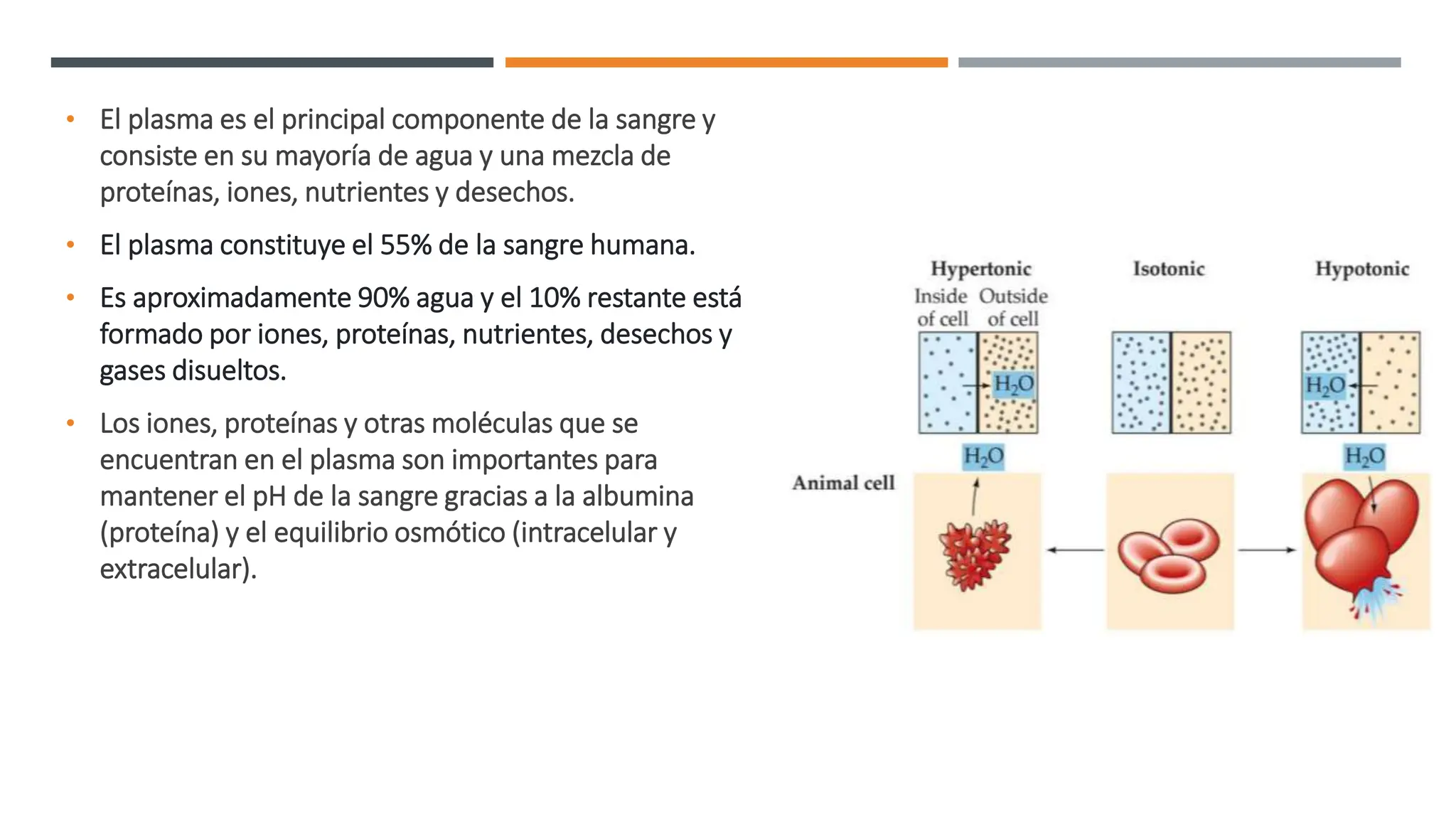 LA SANGRE - y sus componentes completos en el cuerpo humano | PPT