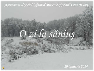 La săniuş | PPTX