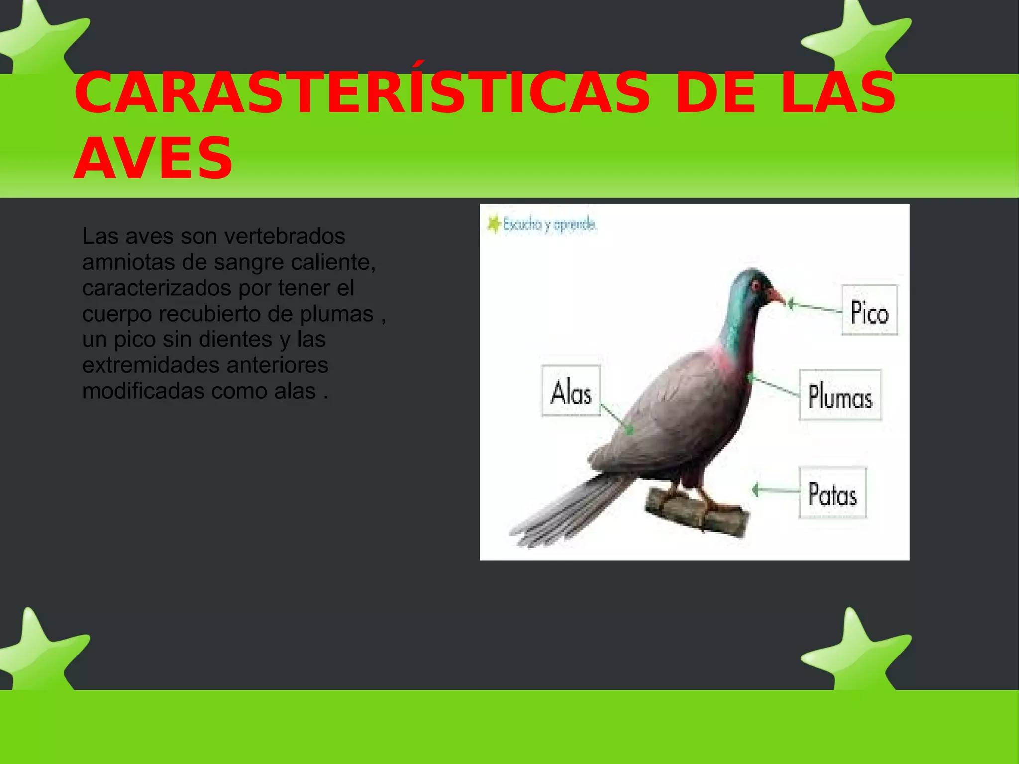 Las aves | PPT