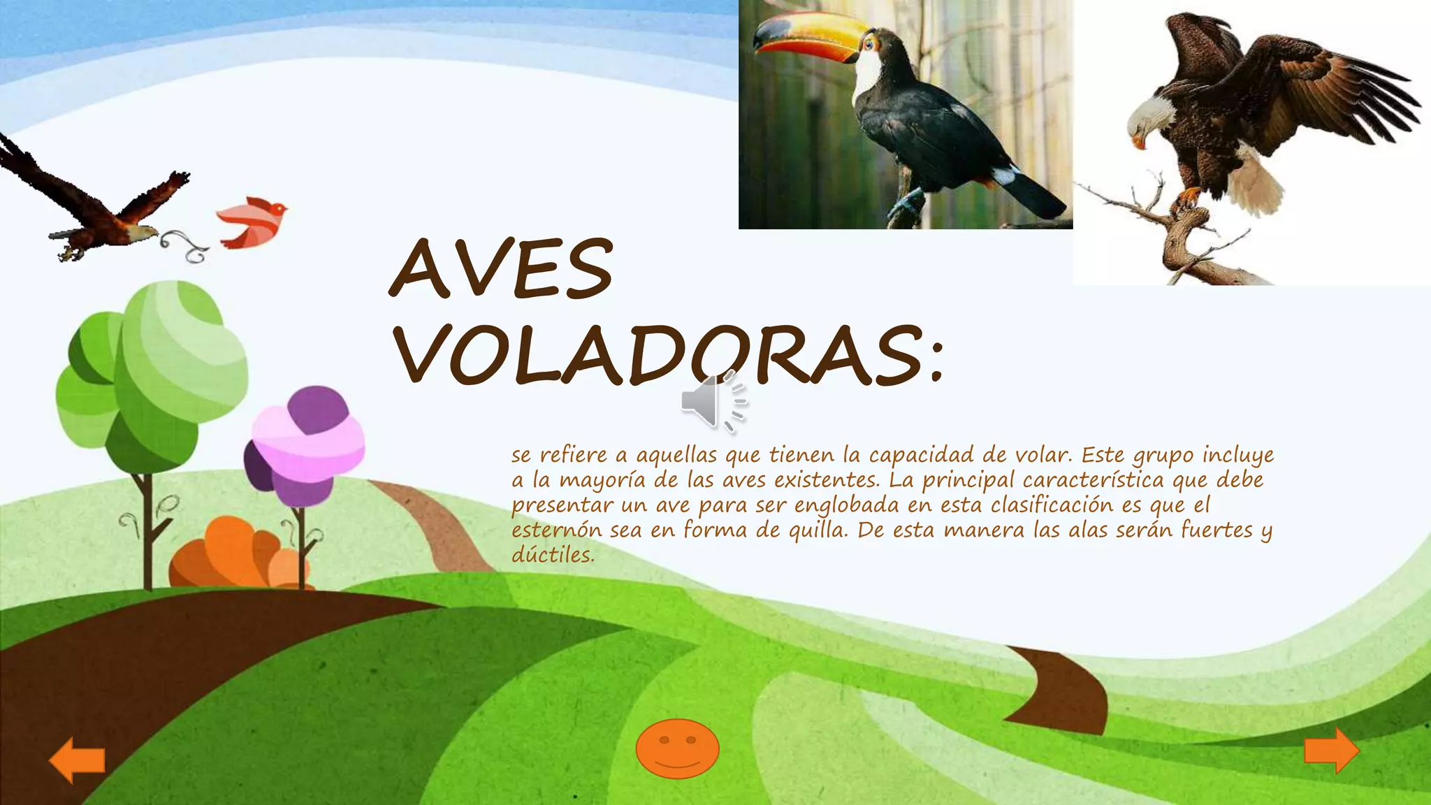 Las aves diapositiva yinson | PPTX