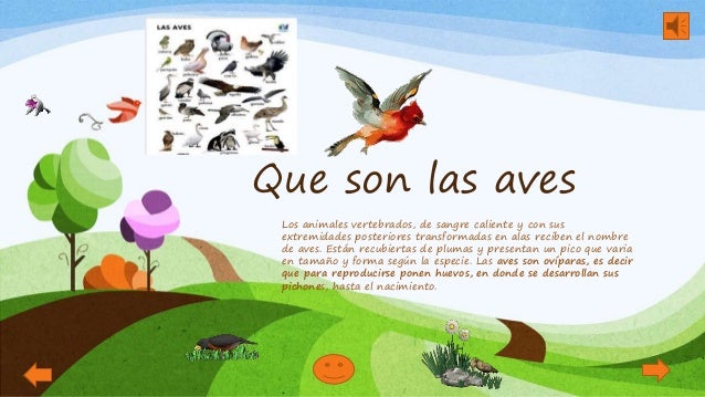 Las aves diapositiva yinson