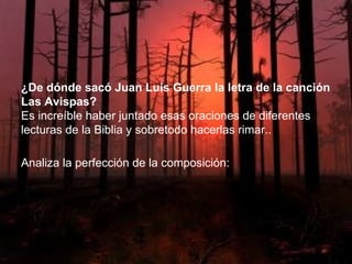 Canción "Las avispas" de Juan Luis Guerra y su contenido bíblico | PPS ...