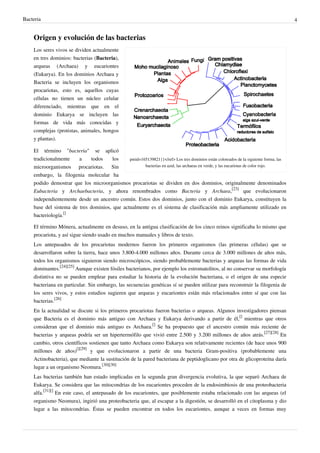 Las bacterias | PDF