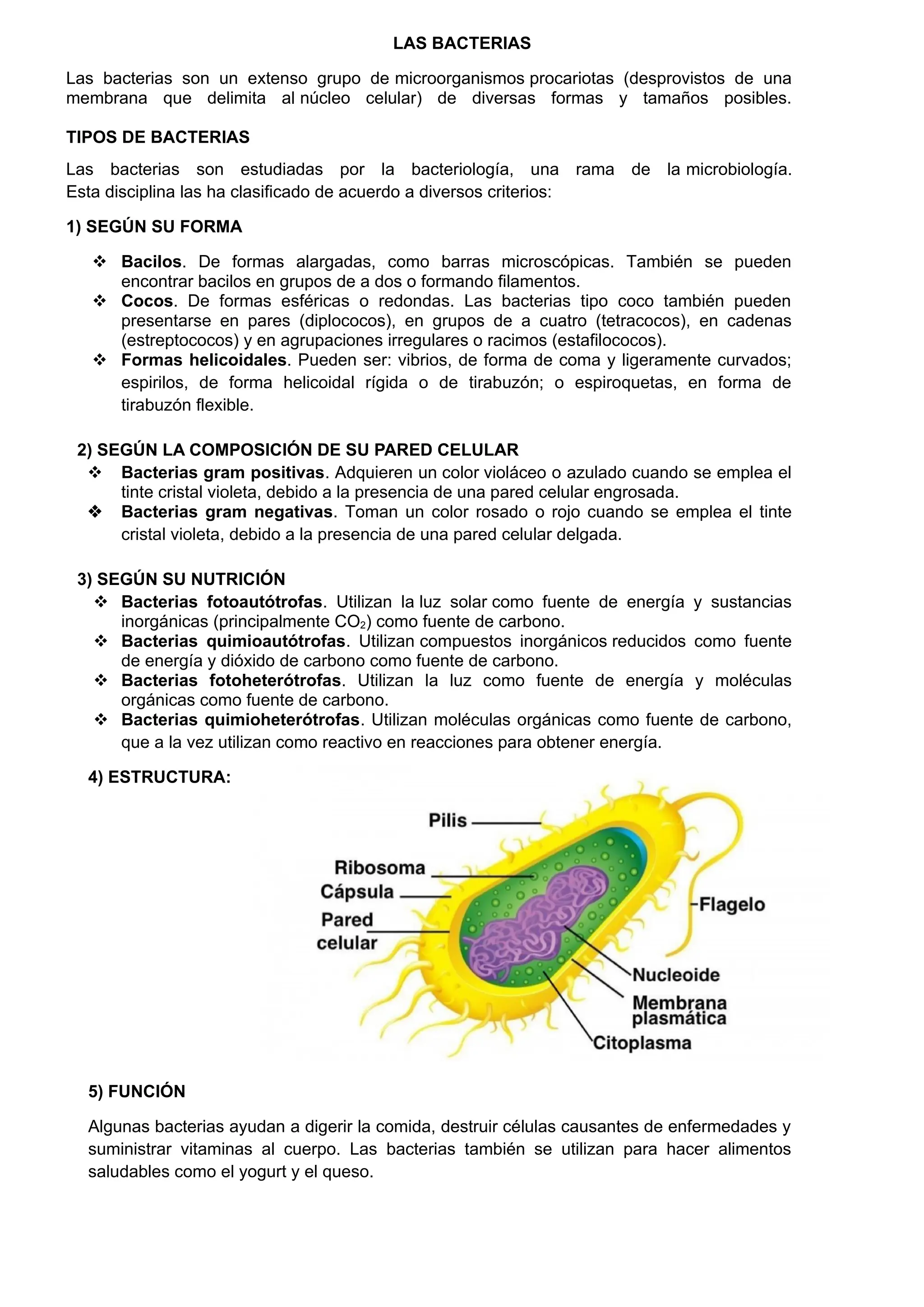 TODO SOBRE LAS BACTERIAS: FORMAS, ENFERMEDADES.docx