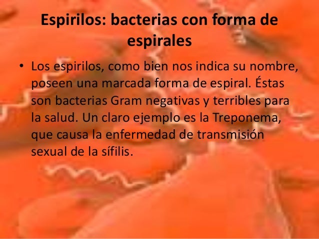 Las bacterias por luis guerra