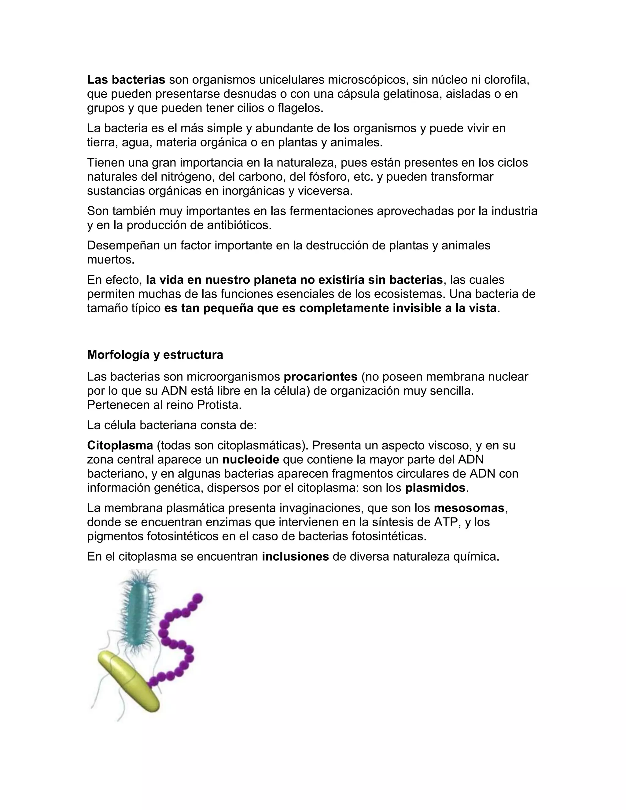 Las bacterias son organismos unicelulares microscópicos | DOCX