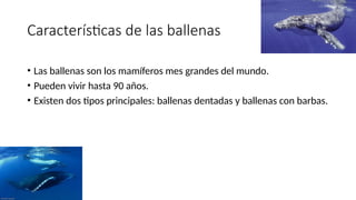 presentación sobre el tema de Las Ballenas.pptx
