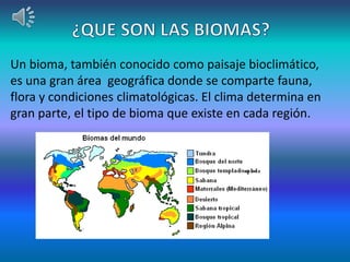 Las biomas del mundo | PPTX