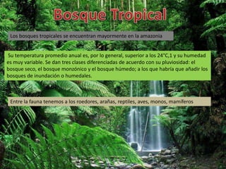 Las biomas del mundo | PPTX