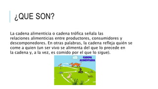 Las cadenas alimenticias | PPT