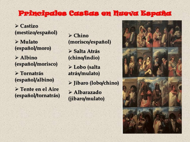 Las castas en nueva españa