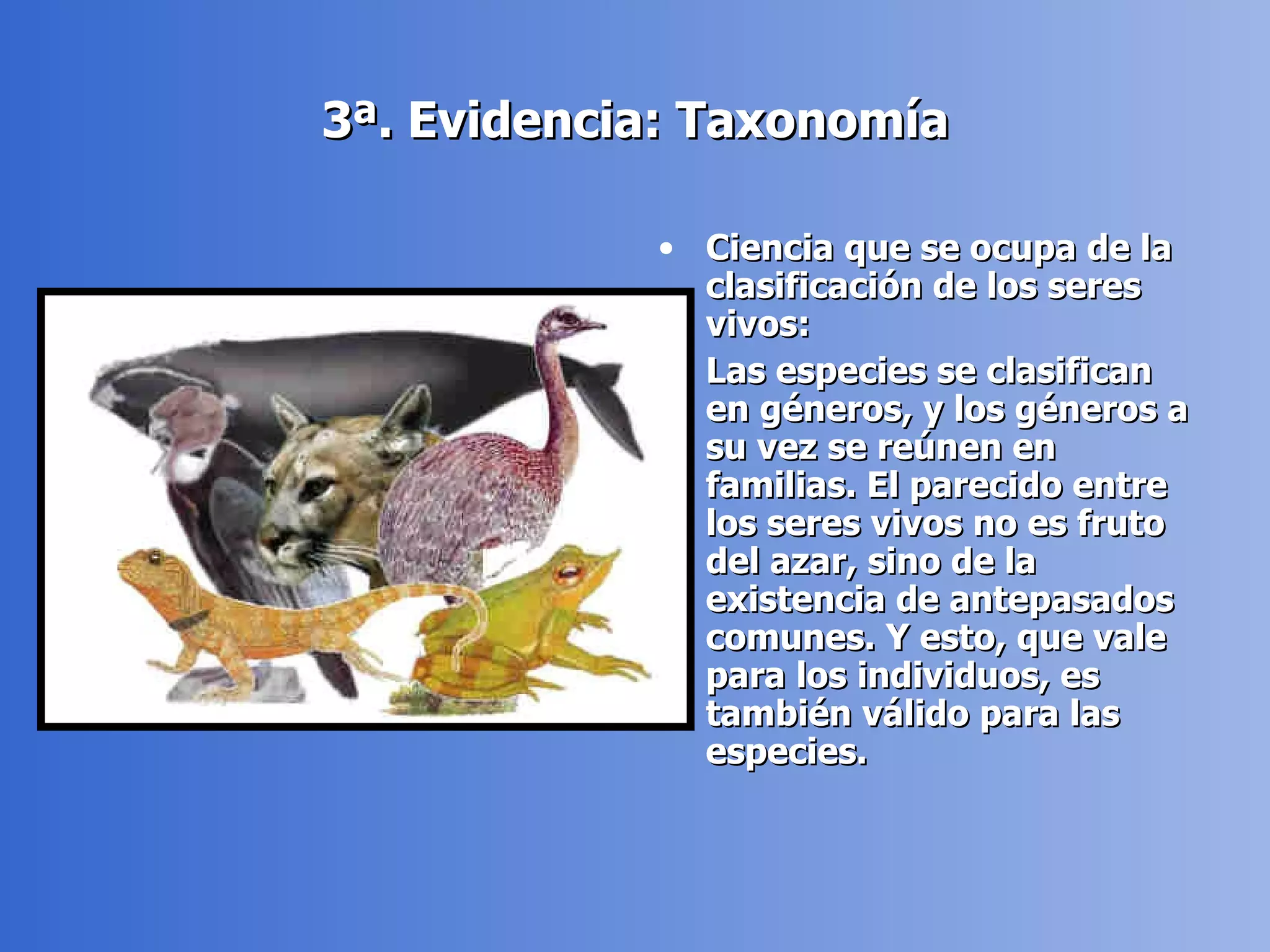 Las Cinco Evidencias De La EvolucióN SegúN Darwin | PPT