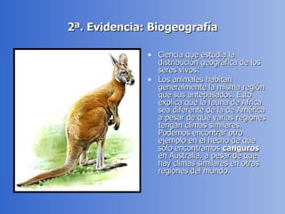 Las Cinco Evidencias De La EvolucióN SegúN Darwin | PPT