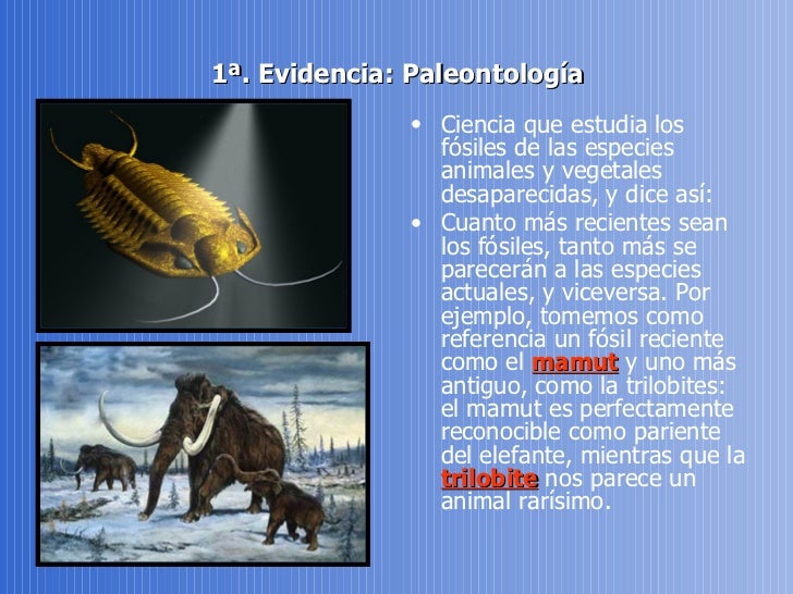 Las Cinco Evidencias De La EvolucióN SegúN Darwin Las Cinco Evidencias De La EvolucióN SegúN Darwin