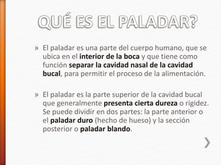 Las células del paladar | PPTX