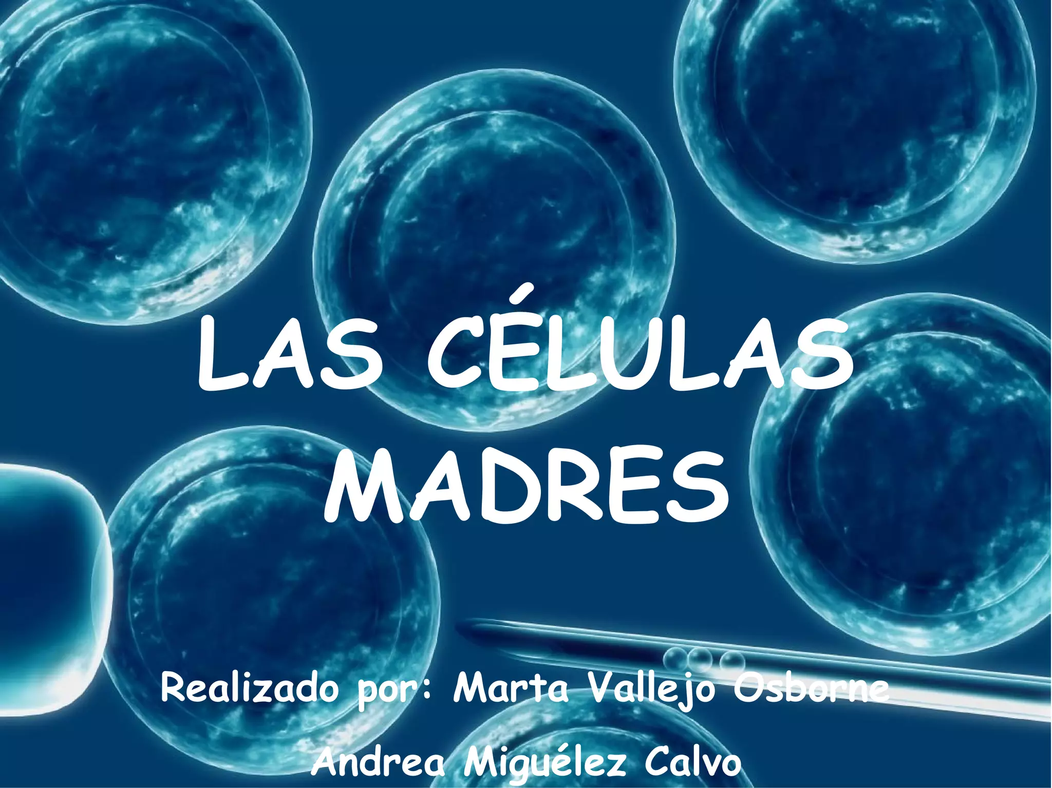 Las células madres | ODP | Infertility | Reproductive Health