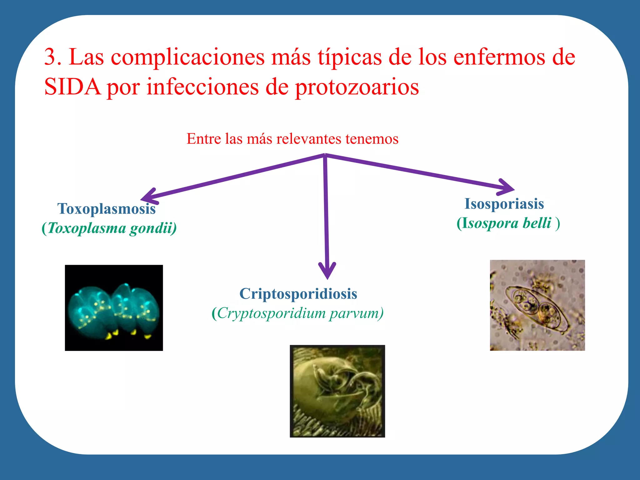 Toxoplasmosis, Criptosporidiosis y Isosporiasis en pacientes con sida ...