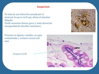 Toxoplasmosis, Criptosporidiosis y Isosporiasis en pacientes con sida ...