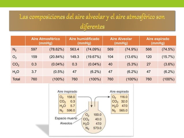 Las composiciones del aire alveolar y el aire atmosférico | PPTX