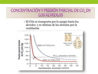 Las composiciones del aire alveolar y el aire atmosférico | PPTX