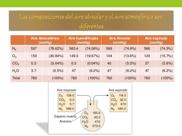 Fisiología – Página 2