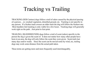 Lasd bloodhounds | PPT