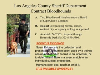 Lasd bloodhounds | PPT
