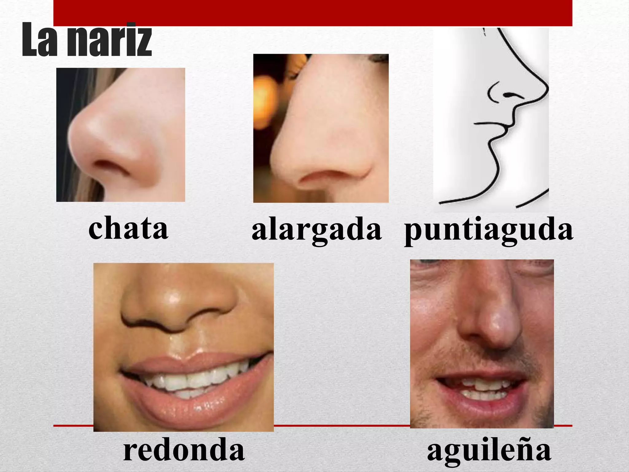 Las descripciones físicas, los estados de ánimo y la forma de ser | PPT