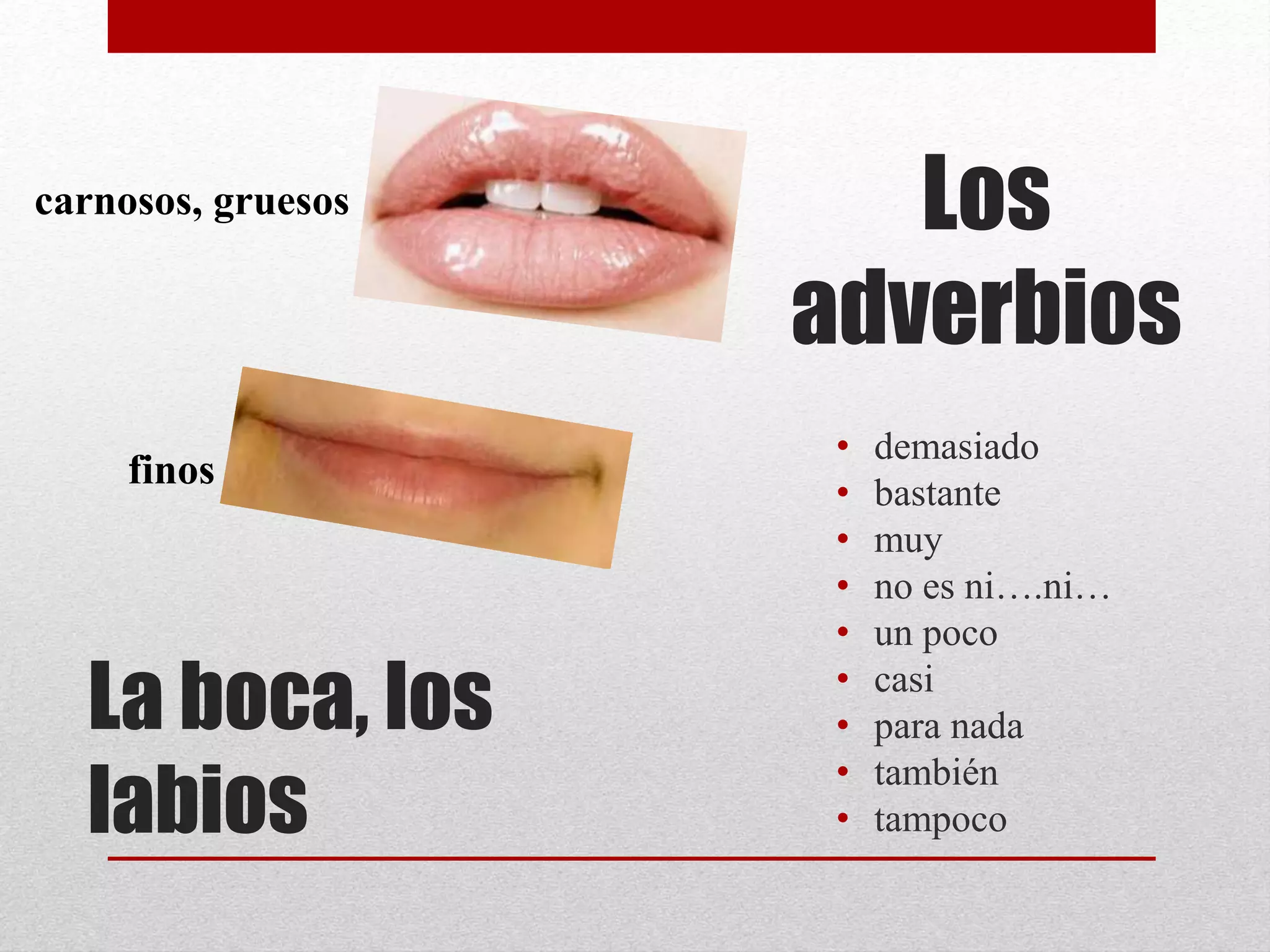 Las descripciones físicas, los estados de ánimo y la forma de ser | PPT