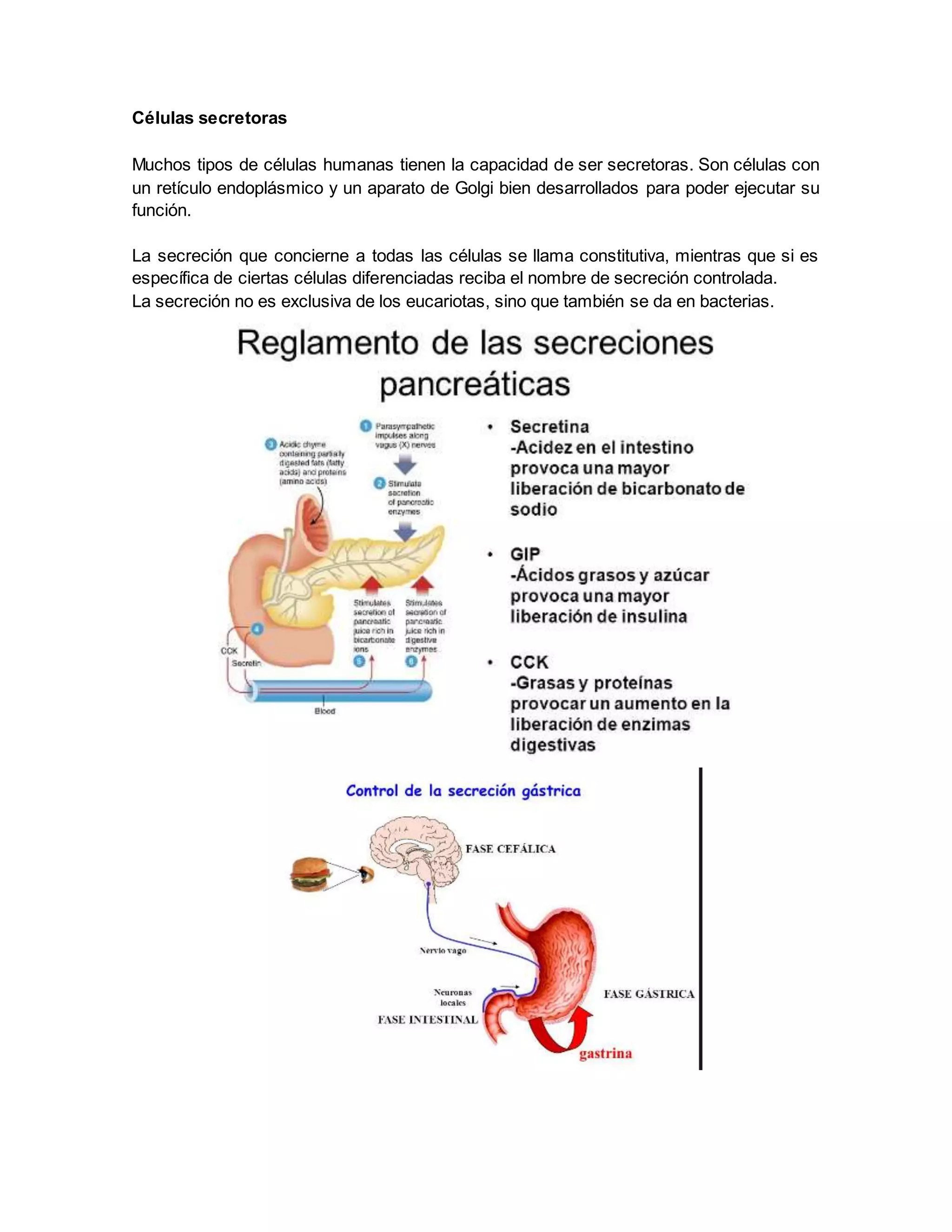 La secreción en los seres vivos | PDF