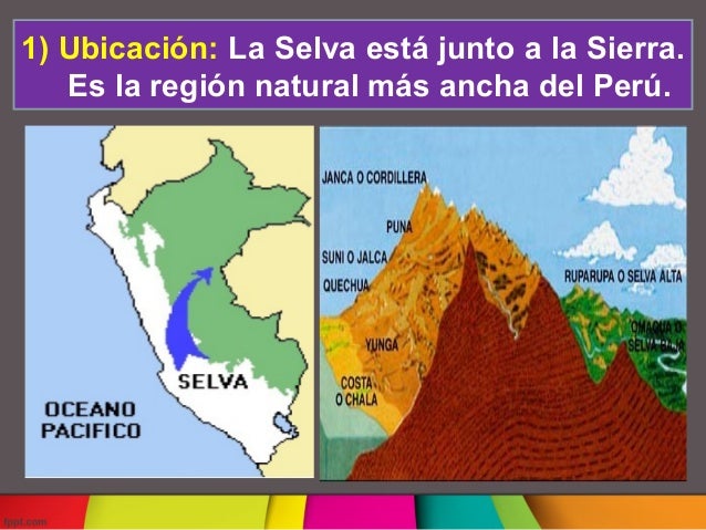 La selva