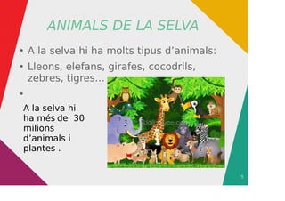 La selva | PPT