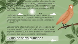 La selva(bioma) | PPTX