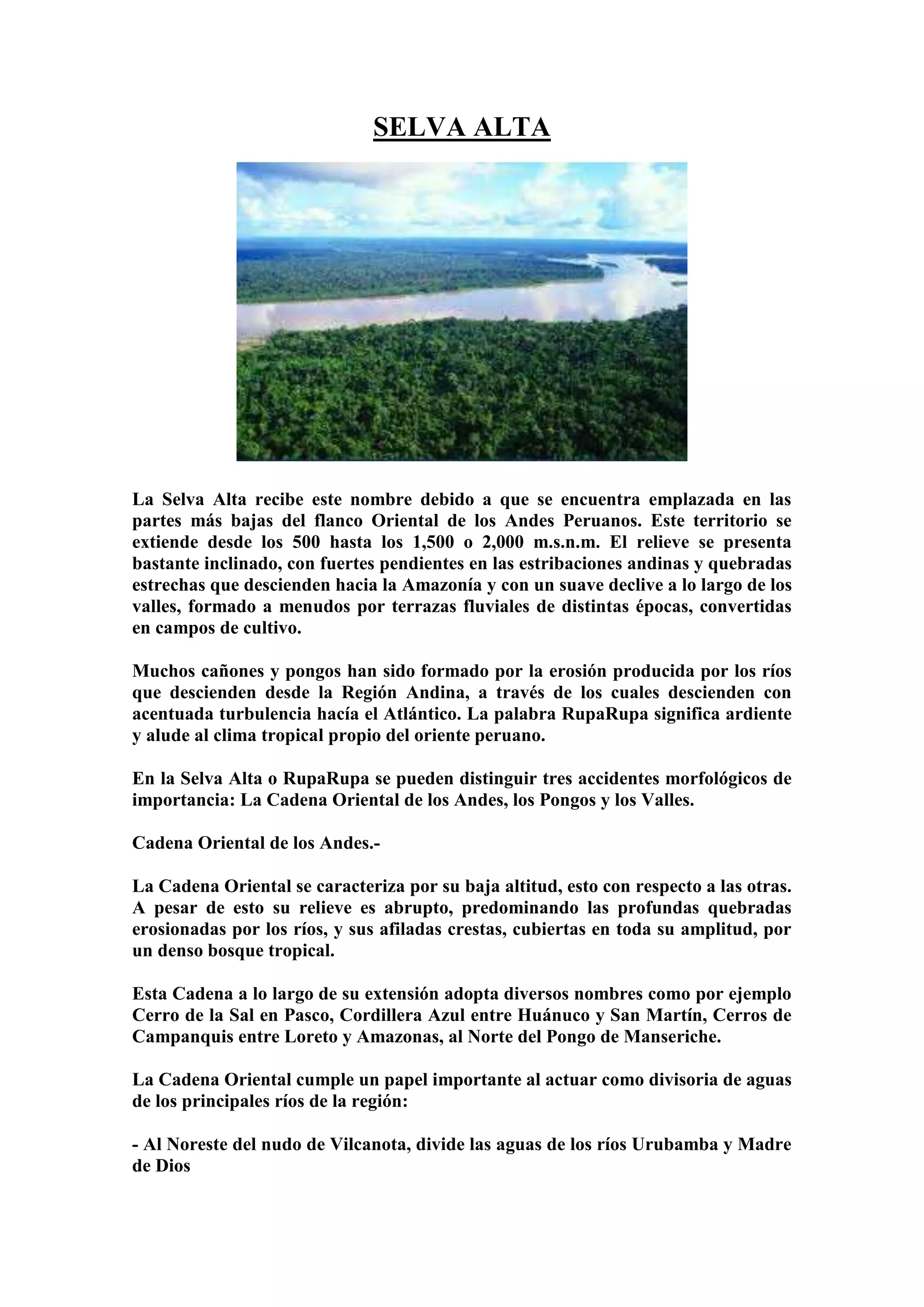La selva alta | PDF