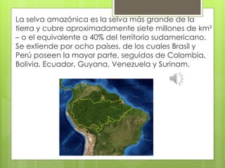 Mapa De La Selva Amazónica Para Niños