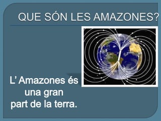 La selva amazònica berenguer | PPT
