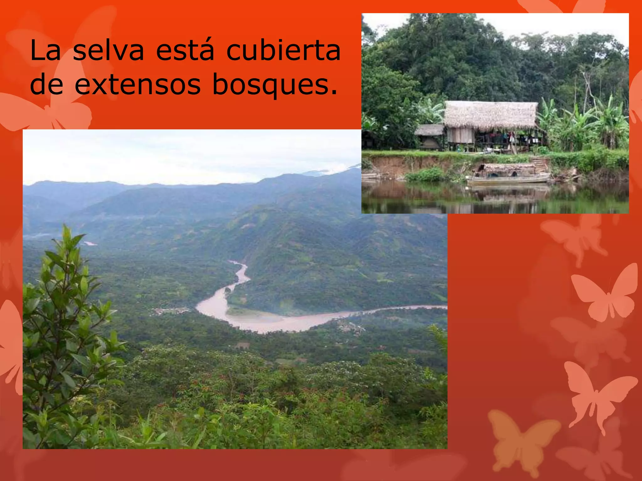 La selva peruana | PPTX