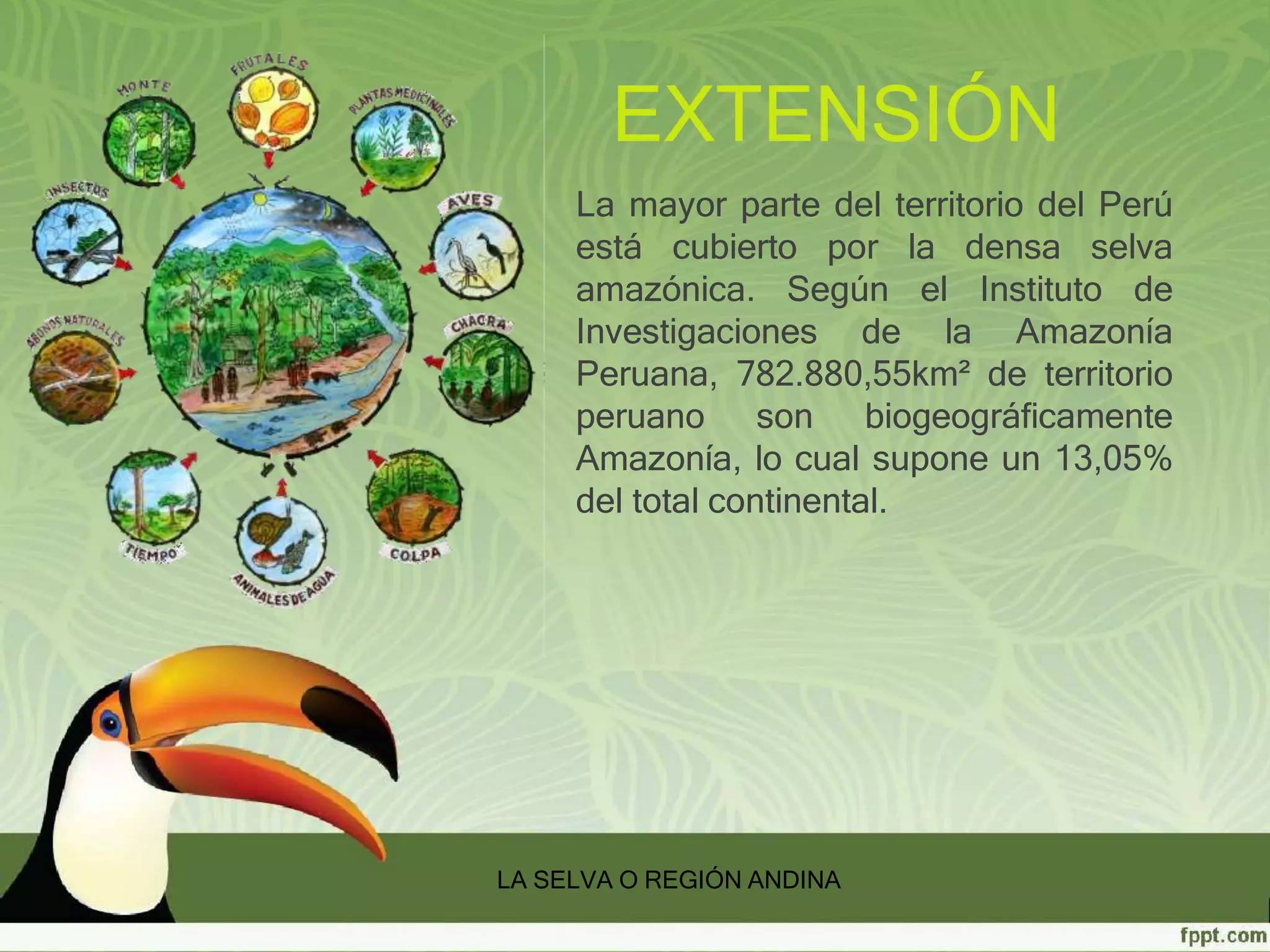 LA SELVA PERUANA.pptx | Descarga Gratuita