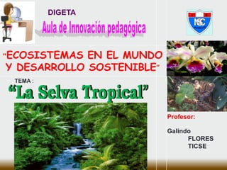 La selva tropical | PPTX