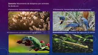 La semilla | PPTX