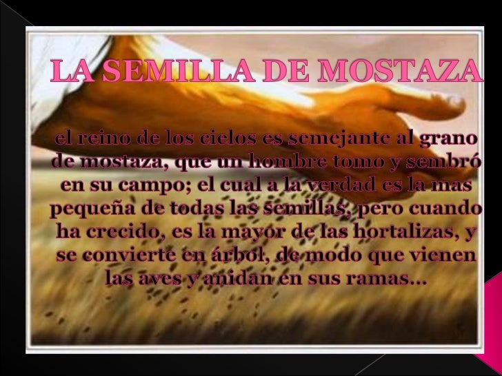 La semilla de mostaza