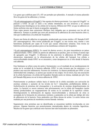 Las enterobacterias | PPTX