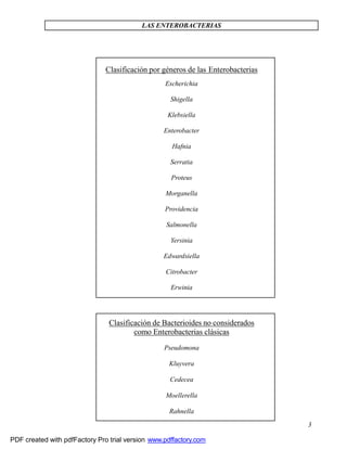 Las enterobacterias | PPTX