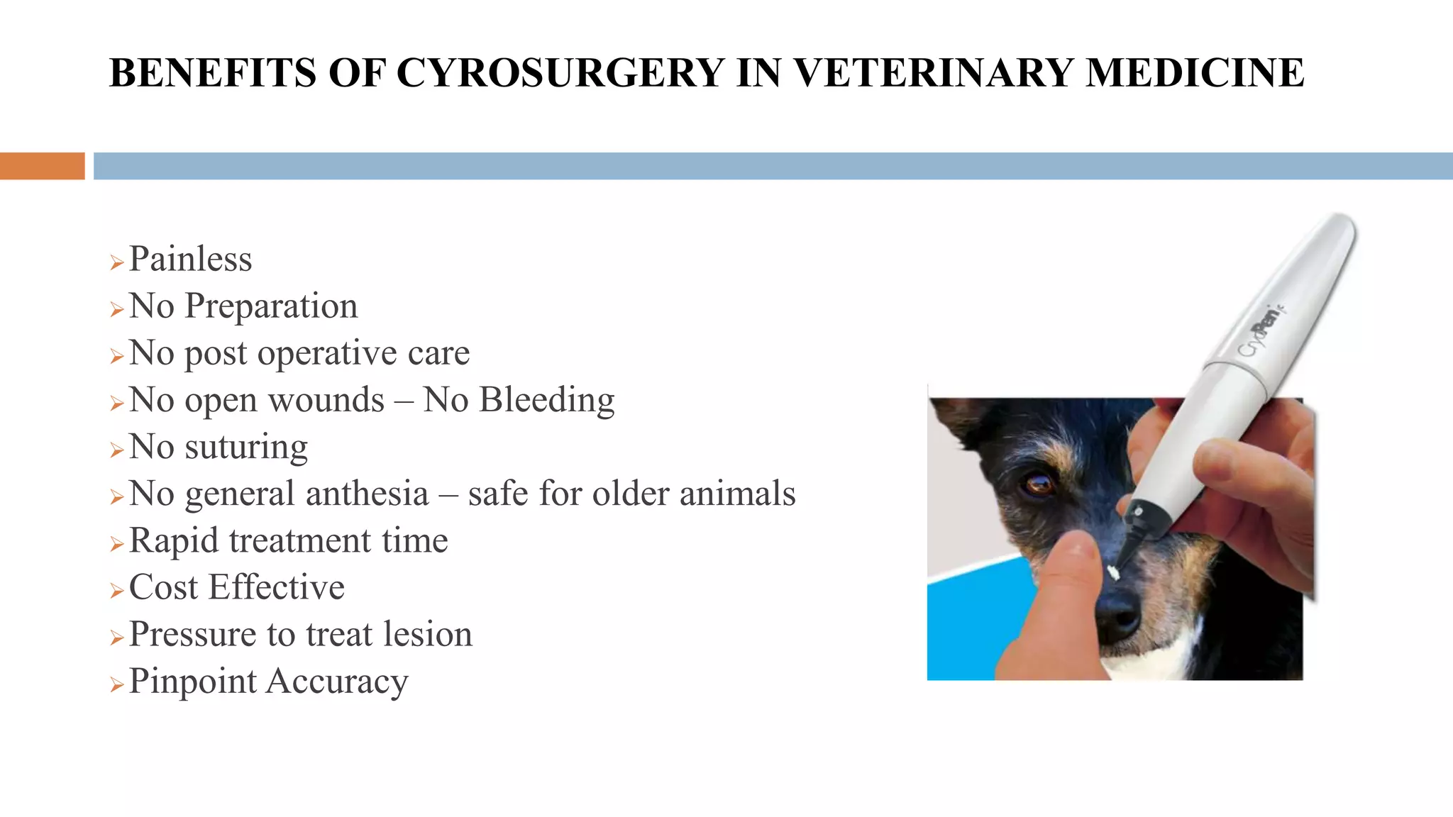 Laser, cryosurgery and its application in veterinary practice | PPTX