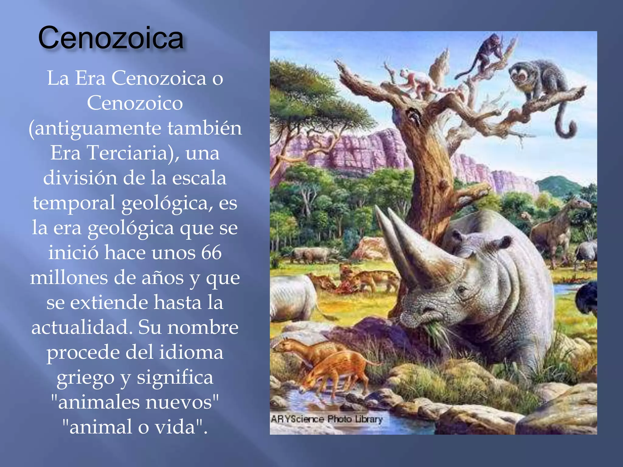 Las eras geologicas | PPTX | Geography | Science