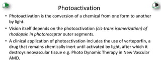 Laser in Ophthalmology and types of Laser | PPTX