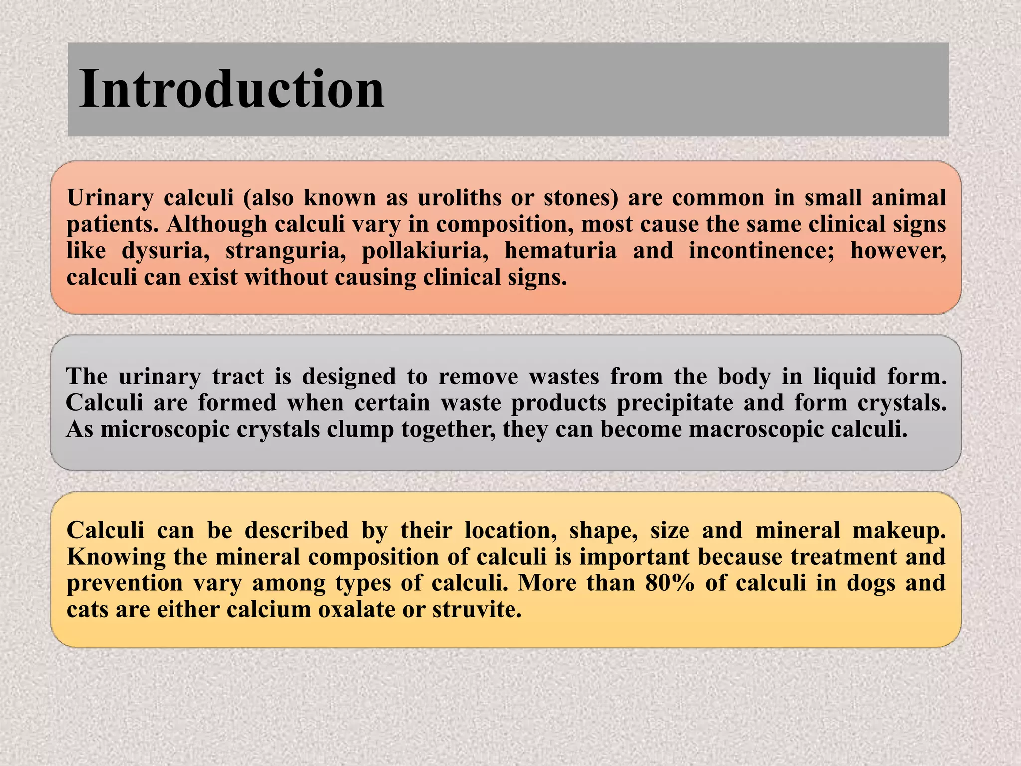Laser Lithotripsy.pptx