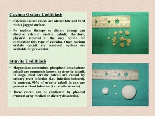 Laser Lithotripsy.pptx