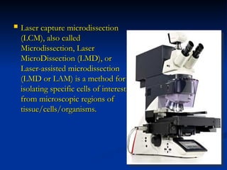 laser microdissection.ppt ORAL PATHOLOGY | PPT